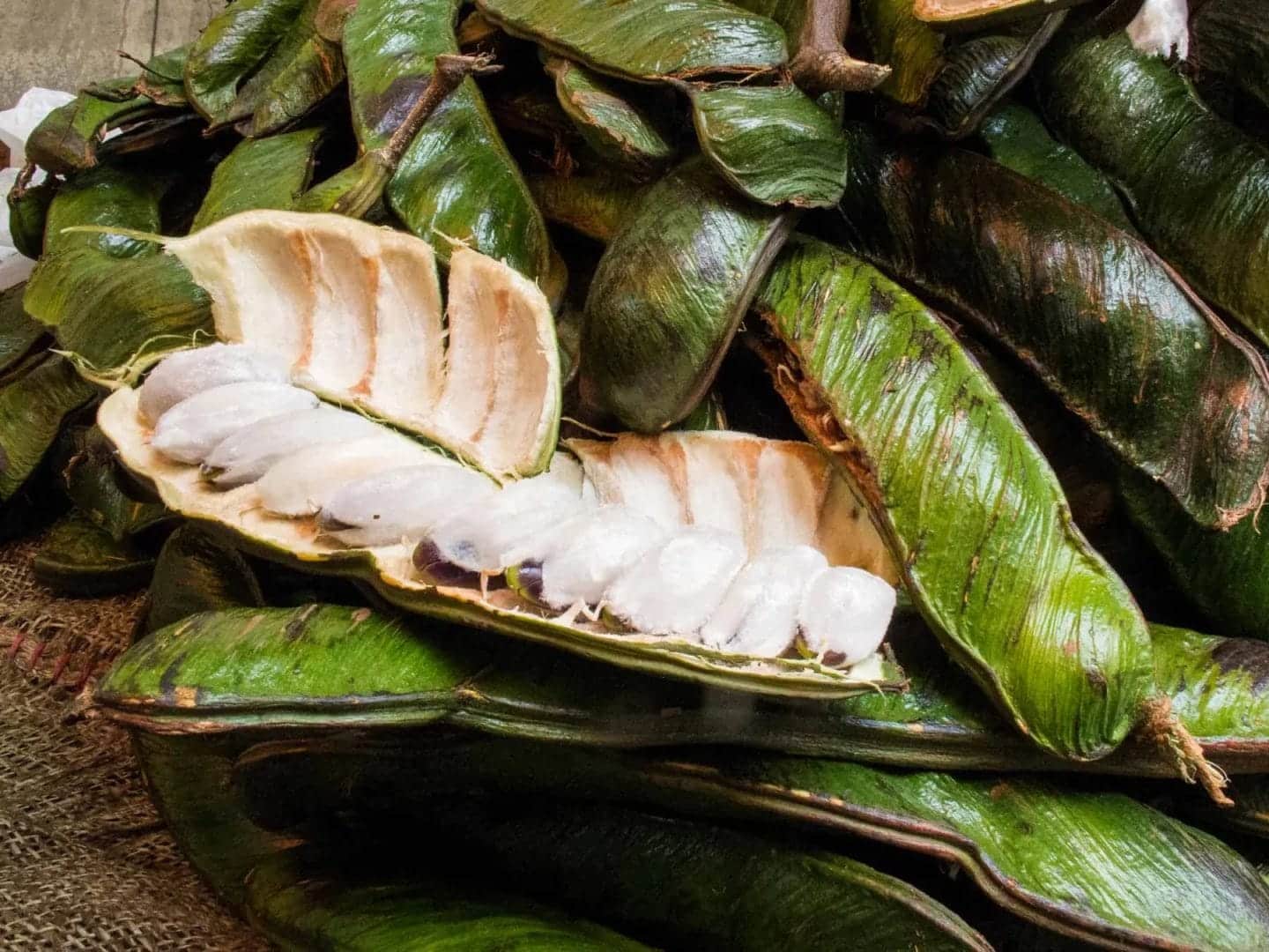 Fruit en i : Liste complète des Fruits commençant par i